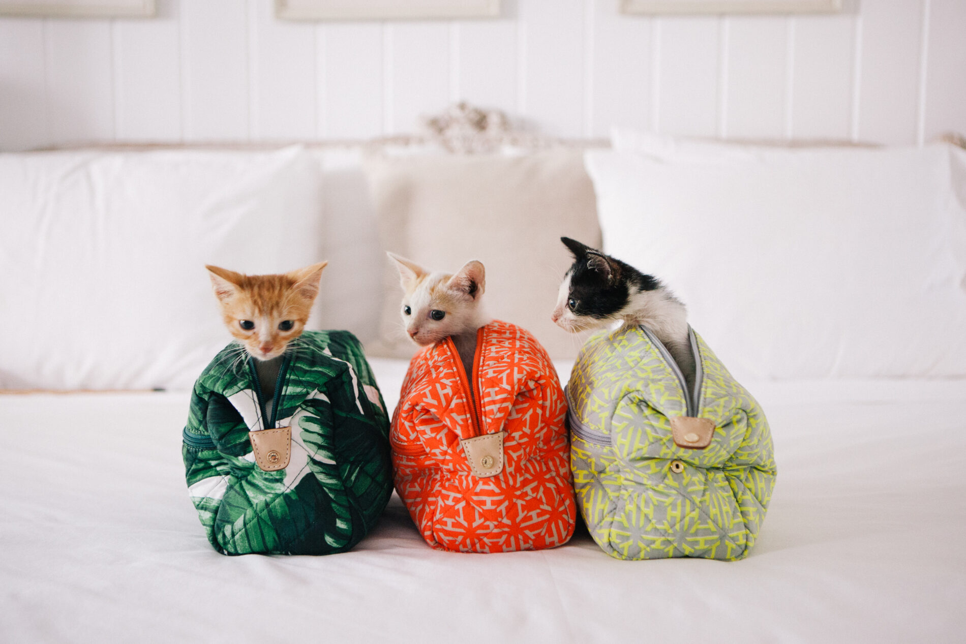 India Hicks Collection - Lovelace Interiors